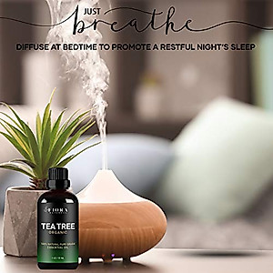 Tea Tree Essential Oil by Fiora Naturals- 100% Pure Organic Oil, for Face, Hair, Skin, Acne, Scalp, Foot and Toenails. Melaleuca Alternifolia, 1 oz /30ml