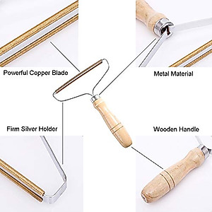 DAIFUQIHUA Carpet Pet Hair Remover, Portable Spark Lint Roller with Wooden Handle, Carpet Pile Brush with Double Sided Metal Scraper Suits Indoor Carpet, Pet Hair, Car Carpet,1 Pc
