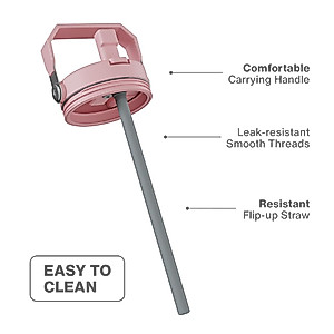 Demon Slayer Kimetsu No Yaiba Nezuko Tumbler with Lid, 30 Oz Water Cup, Vacuum Insulated, Anime Water Bottle, Reusable Insulated Stainless Steel tumbler for Water, Iced Tea or Coffee