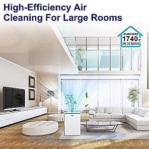Air Purifiers for Home Large Room up to 1740ft², H13 True HEPA Air Filter for Allergies, Pets Hair, Pollen, Dander, Smoke, Smell, Sleep Mode, 5 Timer, Auto Mode Quiet Air Cleaner for Bedroom, Kicthen