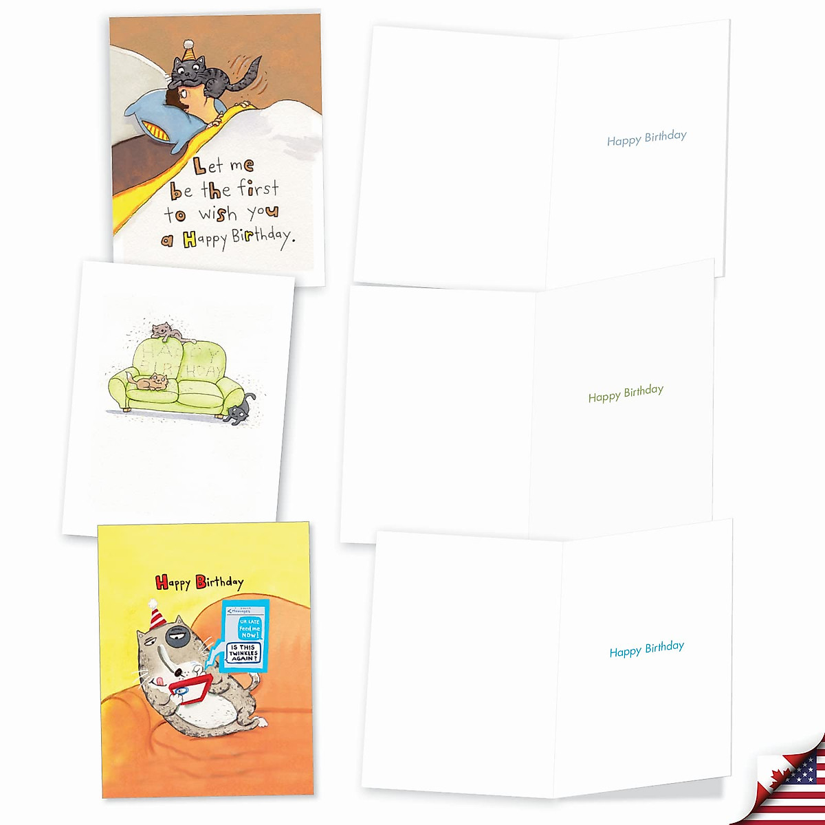 The Best Card Company - 10 Cute Birthday Note Cards with Envelopes (4 x 5.12 Inch) - Pets and Animal Notecards, Boxed Assortment - Kitty Birthday M3791BDG-B1x10