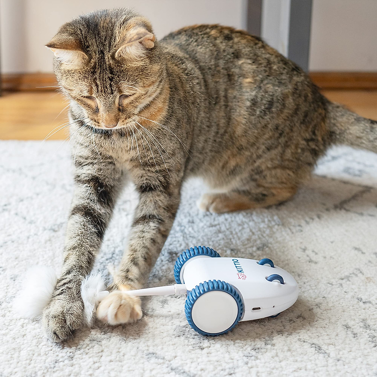 Kittio Robo Mouse - Interactive Mouse Chase Cat Toy - USB Charging - Smart Steering Sensors & Motion Activated