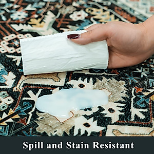 Washable Living Room Area Rug - 8x10 Large Bedroom Rug Distressed Oriental Non-Slip Non-Shedding Print Floor Carpet for Dining Room Kitchen (Black, 8 x 10)