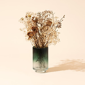 LA JOLIE MUSE Pomegranate & Pine Candle, Scented Candles for Home, Holiday Candle Gifts for Women&Men, Large Soy Candles, 120 Hours Long Burning Jar Candle, 19oz