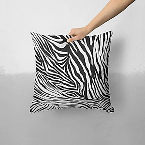 iiRov Toned Zebra Print - Custom Decorative Home Decor Indoor or Outdoor Throw Pillow Cover for Sofa, Bed or Couch Cushion (Pillow CASE Cover ONLY)