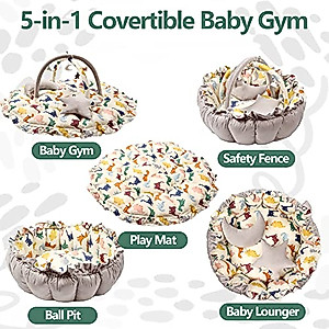 5-in-1 Thick & Plush Baby Play Gym with Tummy Time Pillow,Convertible Stage-Based Developmental Activity Gym & Play Mat from Baby to Toddler, Ball Pit, Pet Cushion,Baby Shower