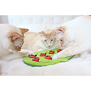 Catstages Nina Ottosson Buggin' Out Puzzle & Play - Interactive Cat Treat Puzzle