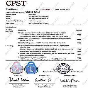 ChaseChic Cute Lightweight Dinosaur Kids Backpack and Water Resistant Lunch Bag