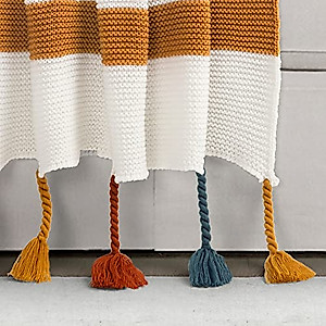 Lush Decor Boho Knitted Braided Tassel Throw Blanket, 60" x 50", Teal & Rust