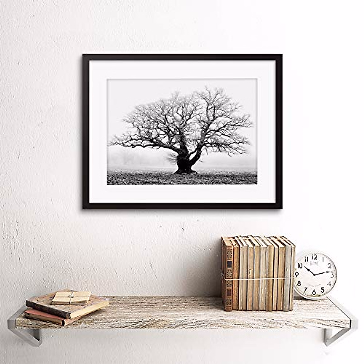 OLD OAK TREE BLACK WHITE MIST FOG PHOTO FRAMED ART PRINT PICTURE & MOUNT F12X634
