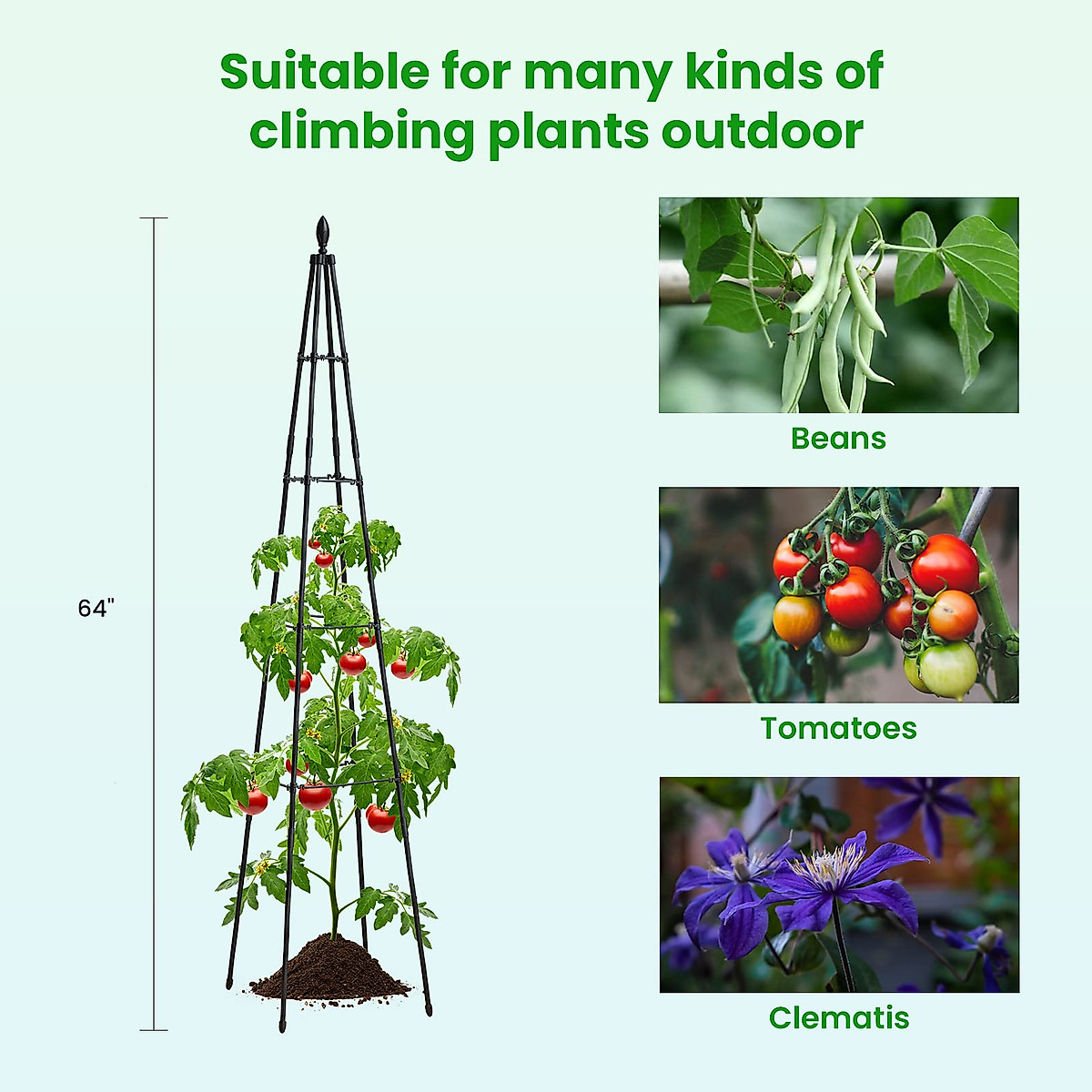 FOLLOOK Garden Trellis for Climbing Plants Outdoor, 64" Tall Plant Trellis with 4-Tier Adjustable Stake Arms - Outdoor Indoor Potted Plant Support for Vine, Vegetable, Obelisk Trellis, Black, 2 Pack