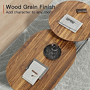 Amada Coffee Table Set, 2-Tier Center Table with Open Shelf and Metal Frame, Modern Round Coffee Table for Living Room, Set of 2, AMCT2V