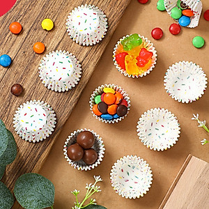 600 count Icing Design Mini Cupcake Liner Baking Cups Paper Small Candy Cups Making Supplies White Baking Cupcake Liner Supplies Holiday Muffin Chocolate Making Wrappers Liner Supplies Candy Paper