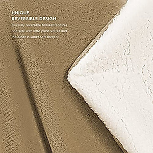 TAFTS Throw Blankets - Ultra Plush/Sherpa Fleece Blankets - Soft, Ultra Comfy and Fuzzy - Plush Blankets and Throws for Couch, Bed & Living Room - All Seasons - Blankets Throw Size - Nude Beige
