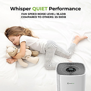 Air Purifiers for Home, Large Room Covers 1500 Ft², H13 Medical Grade True HEPA Air Filter, Ideal for Allergies, Cat, Dog, Pet, Hair, Pollen, Smoke, Dust, Bedroom Air Filter, WiFi, InvisiClean Bella