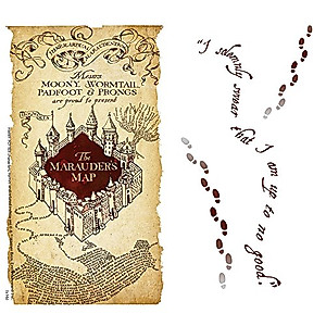 Tervis Harry Potter The Marauder's Map Made in USA Double Walled Insulated Tumbler Travel Cup Keeps Drinks Cold & Hot, 24oz Water Bottle, Classic