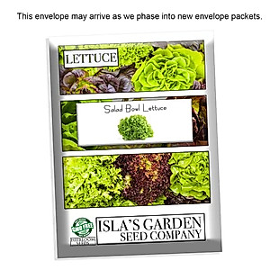 Salad Bowl Lettuce Seeds for Planting, 1000+ Heirloom Seeds Per Packet, (Isla's Garden Seeds), Non GMO Seeds, Botanical Name: Lactuca Sativa, Great Home Garden Gift