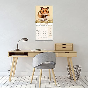 2023 Hamsters Wall Calendar
