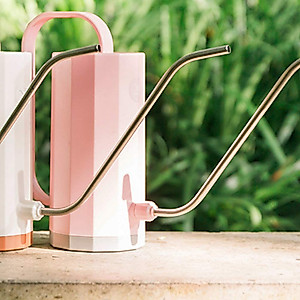 clear water bottles metal water bottle metal pitcher succulent sprayer plants watering pot watering can for indoor plants kettle bonsai succulent plants wine bottle Long-lasting