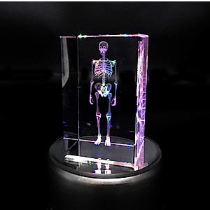 3D Human Skeleton Anatomical Model Paperweight(Laser Etched) in Crystal Glass Cube Science Anatomy Gift (No Included LED Base)(3.1x2x2 inch)