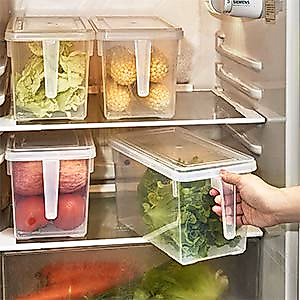 PENGKE Plastic Food Storage Container with Lid and Handle,Food Storage Organizer Box Fresh Box for Kitchen Refridgerator Fridge Desk Cabinet Food Storage,Holds Fruit Eggs Vegetables,5L Pack of 4