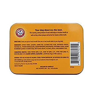 Arm & Hammer for Pets Tartar Control Dental Mints for Dogs | Dog Dental Mints Help Reduce Plaque & Tartar Buildup Without Brushing | Beef Flavor, 40 Count