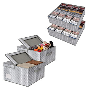 GRANNY SAYS Bundle of 2-Pack Closet Bins with Lids for Storage & 2-Pack Socks Storage Organizers