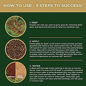 Scotts EZ Seed Patch & Repair Tall Fescue Lawns - 10 lb., Combination Mulch, Seed, and Fertilizer Mix with Tackifier, Repairs Bare Spots, Covers up to 225 sq. ft.