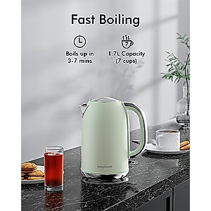Electric Tea Kettle, Longdeem 1.7L Stainless Steel Water Boiler & Heater, 1500 Watts for Fast Boiling, Auto-Shutoff and Boil-Dry Protection, Cordless Serving with LED Light, Pastel Green