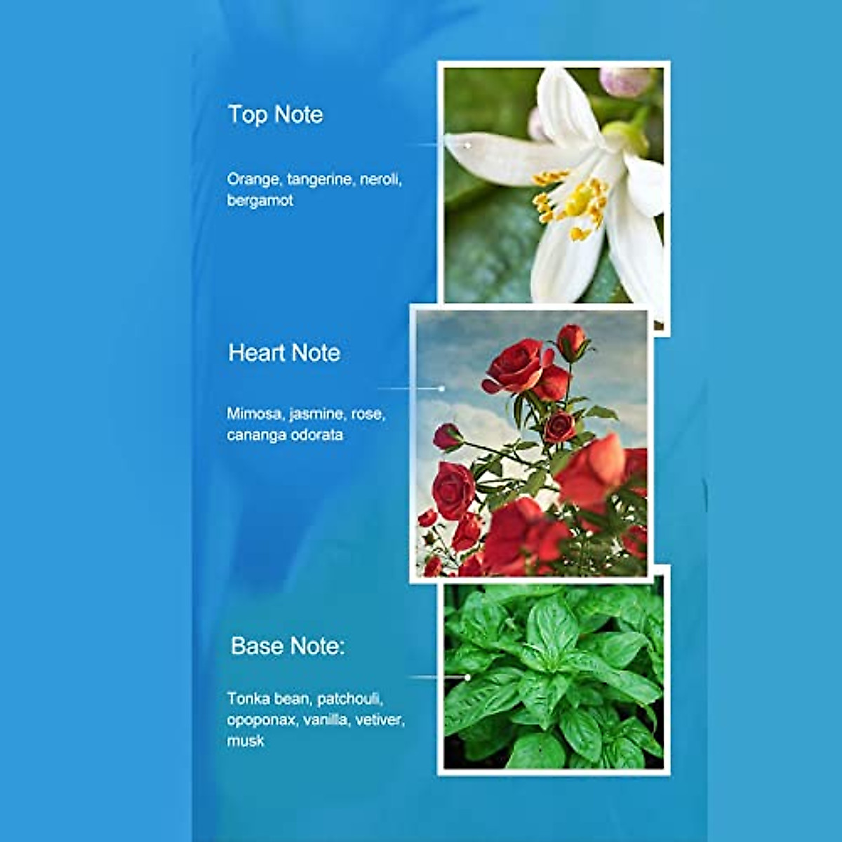 Sonew 30ml Floral Perfume Sweet Fruity Perfume Spray ing Fragrance Women's Refreshing Perfume for Dating Party Wedding