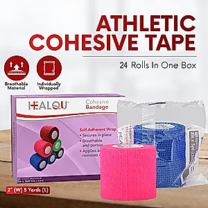 HEALQU Self Adhesive Bandage Wrap – 12 Rolls 2in x 5yd Cohesive Tape for Athletic and Sports - Self Adherent Medical Tape, Flexible, Elastic Bandages Multicolor for Wrist & Ankle Vet Wrap for Dogs