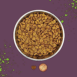 Benevo Vegan cat Food for Adult Cats 2kg. Holistic, Meat-Free, Complete, Non-gm Dry Food Kibble for Your cat. Award Winning Vegan pet Food Made in The UK.