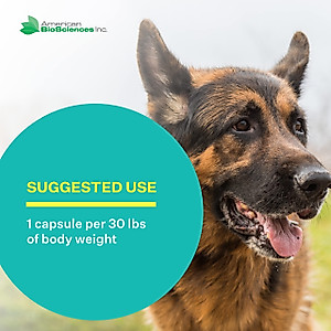 American BioSciences NK-9, AHCC Supplement for Dogs & Cats - Dietary Supplement to Support Immune System - Made for Pet's Immune Defenses - 30 Capsules, 250mg/capsule