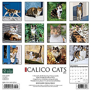Willow Creek Press Calico Cats Monthly 2024 Wall Calendar (12" x 12")