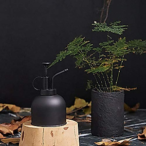 Lerpwige 300ml Mini Plant Flower Watering Can Sprayer Stainless Steel Pot For Sprayer Bottle