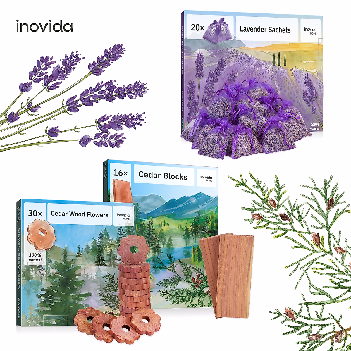 Inovida 30 American Cedar Wood Rings – Stop Clothes Damage - Wardrobe Freshener – Premium American Cedarwood Flowers for Fresh Scent in Drawers and Closets - Cedar Clothes Hangers