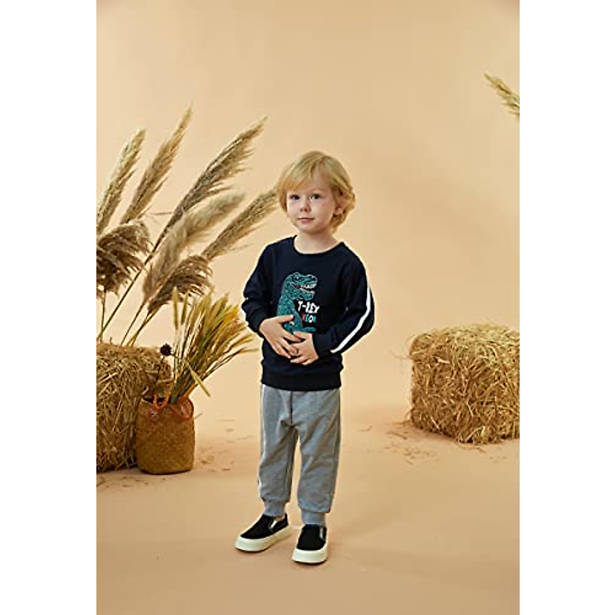 HIHA Dinosaur Outfits Boys 12-18 Months T-Rex Dinosaur Clothes Toddler Boy Sweatsuit Long Sleeve Navy Sweatshirts Grey Jogger Pants Set Little Boys Fall Winter Outfits(Gray, 12-18 Months)