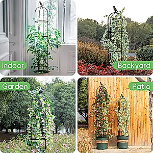 IronFun Plant Trellis for Climbing Plants Support Outdoor/Indoor 2-Pack, Garden Trellis for Potted Plants, Obelisk Trellis Tomato/Rose, Plant Vine Support, Iron Pipe Wrapped with Plastic