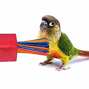 Super Bird Creations 4-1/2 by 2-Inch Mini Paper Party Bird Toy, Medium