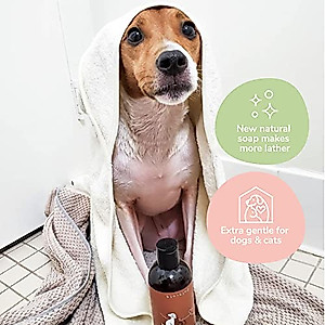kin+kind Oatmeal Shampoo Lavender for Dogs & Cats Natural Dog Shampoo for Itchy & Sensitive Skin with Colloidal Oatmeal, Olive Oil & Coconut Oil Moisturizing & Safe Pet Shampoo Made in USA (12 fl oz)
