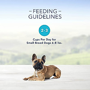 Blue Buffalo Delights Natural Adult Small Breed Wet Dog Food Cup, Prime Rib Flavor in Hearty Gravy 3.5-oz (Pack of 12)