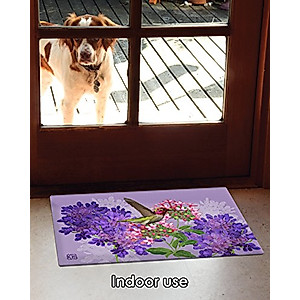 Toland Home Garden 800238 Hummingbird and Flowers Summer Door Mat 18x30 Inch Bird Outdoor Doormat for Entryway Indoor Entrance