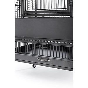 Prevue Pet Products 34531 Hammer Tone Dome Top Bird Cage, Large, Black