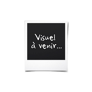 Need for Speed Hot Pursuit Remastered