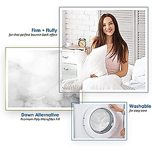 Empyrean Bedding Throw Pillow - 24 x 24 Inches Decorative Pillow Insert - Cotton Blend Outer Shell Indoor & Outdoor Pillows (Pack of 2, White)