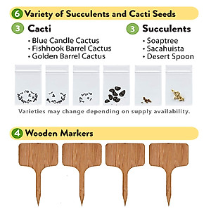 Premium Bonsai Tree and Deluxe Succulent & Cactus Seed Starter Kit - Includes a Grow Guide