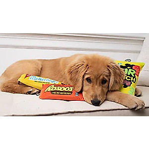 H&K for Dogs Power Plush | Roscos (Small) | Funny Dog Toy | Dog Toy with Squeaker | Dog Gift | Fun, Durable, and Safe | Squeaky Dog Toy