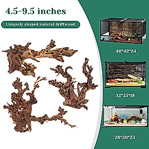 PINVNBY Natural Aquarium Driftwood Assorted Branches Reptile Ornament for Fish Tank Decoration Pack of 3