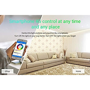 BTF-LIGHTING 5in1 WB5 2.4GHz WiFi LED Controller Compatible with Alexa Google Home Smart Life Tuya Smart APP Control for Monochrome CCT RGB RGBW RGBCCT LED Strip Match with B1 B2 B3 B4 etc Remote