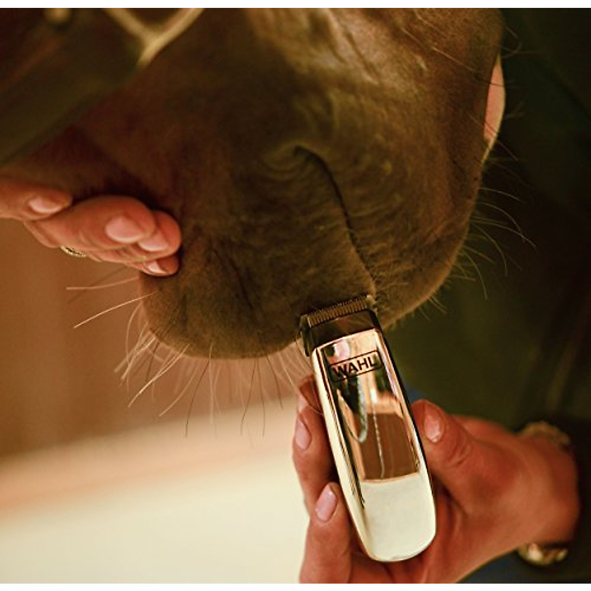 WAHL, Equine Super Pocket Pro Trimmer